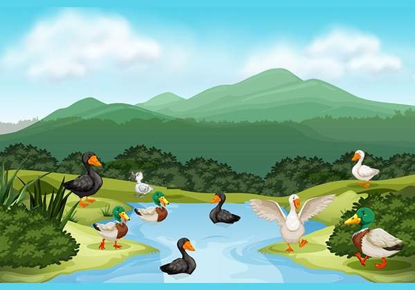 The Definitive Ugly Duckling Story | 1 Famous Tale| Hans Christian Andersen