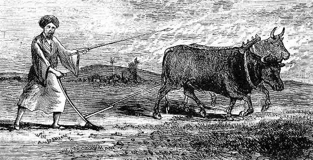 Shamgar: The Forgotten Hero of Judges in the Bible | 3 Powerful Secrets