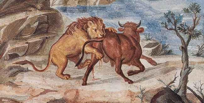 A Story on Unity Is Strength | The Lion and the Bulls | 3 Special Lessons