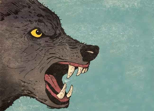 The Magnificent Story of Two Wolves | 1 Inspirational Short Story