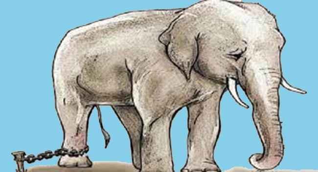 1 Motivational Short Story About Life | The Amazing Elephant Rope Story