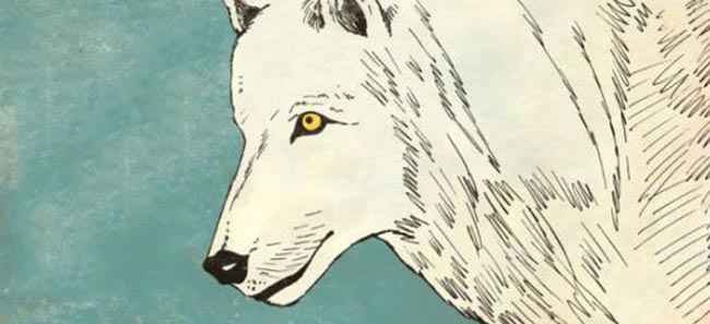 The Magnificent Story of Two Wolves | 1 Inspirational Short Story